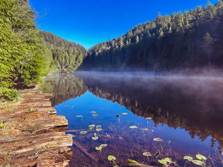 Mountain Tide Adventures | Bowen Island