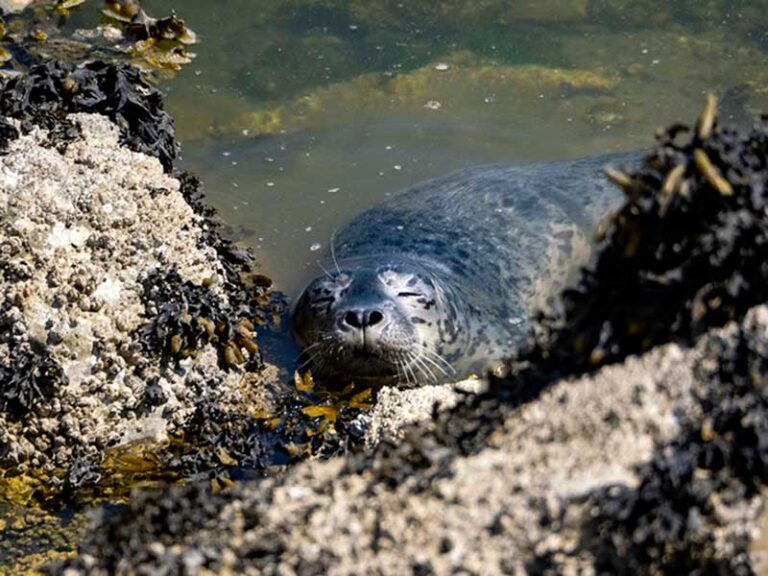 Mountain Tide Adventures | Bowen Island